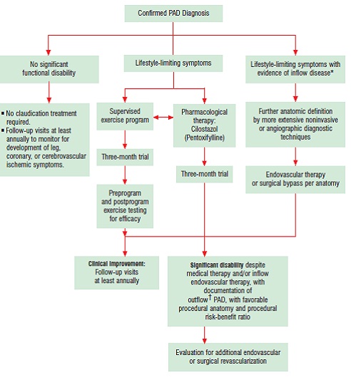 간헐성파행을 주소로 내원한 환자에서 cilostazol을 사용한 증례