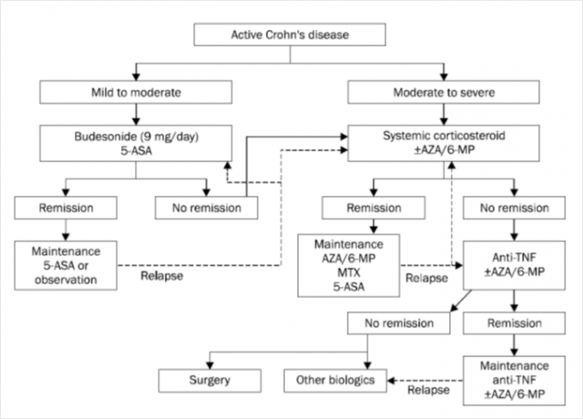 효과적인 염증성 장질환 치료를 위한 5-ASA 활용 전략
