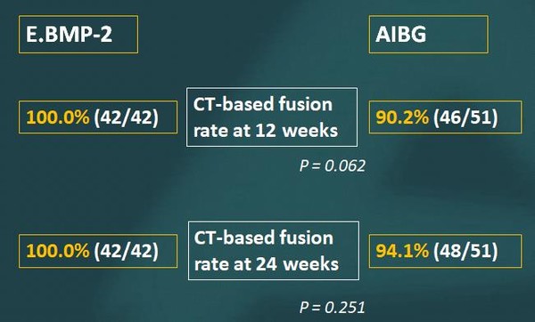 척추유합술에서 확인한 E.BMP-2의 안전성과 유효성