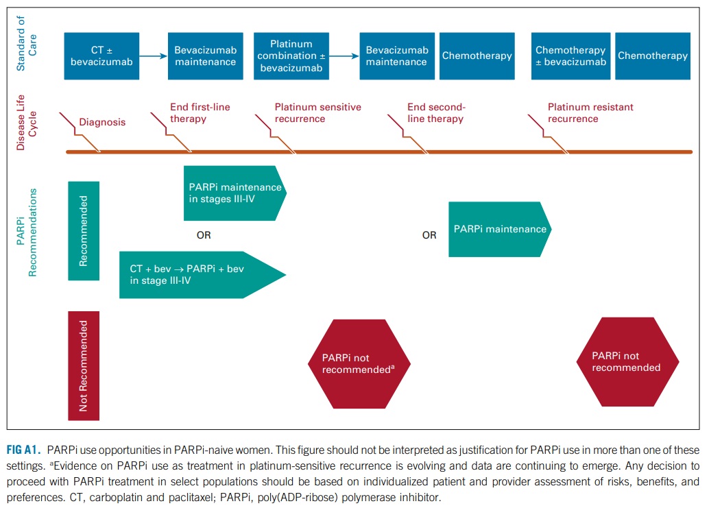 ASCO, 난소암 치료 시 PARP억제제 단독치료 권고 철회