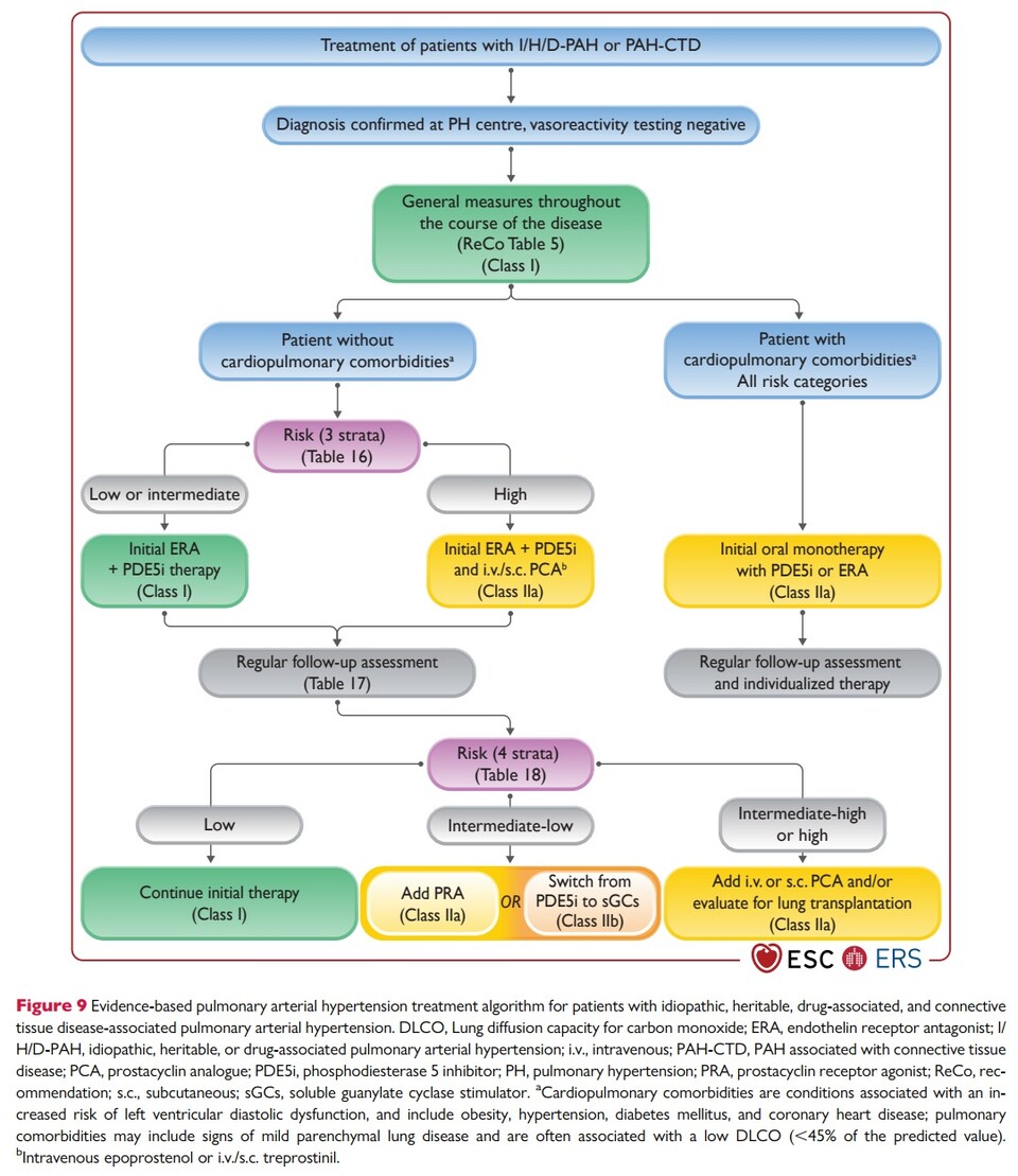 신약 도입에 국제 기준 근접…폐동맥고혈압 치료 공백 여전