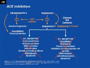 Understanding the ONTARGET trial