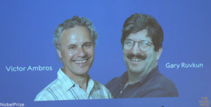 난치병 치료 열쇠 ‘miRMA’ 발견 美 듀오‘노벨 생리의학상’ 수상